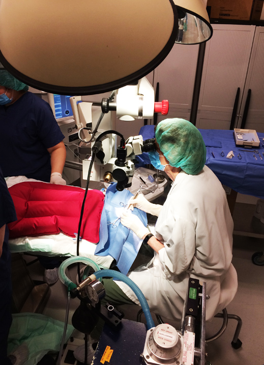 Intraocular Lens Implantation (Video) | Comparative Biosciences, inc