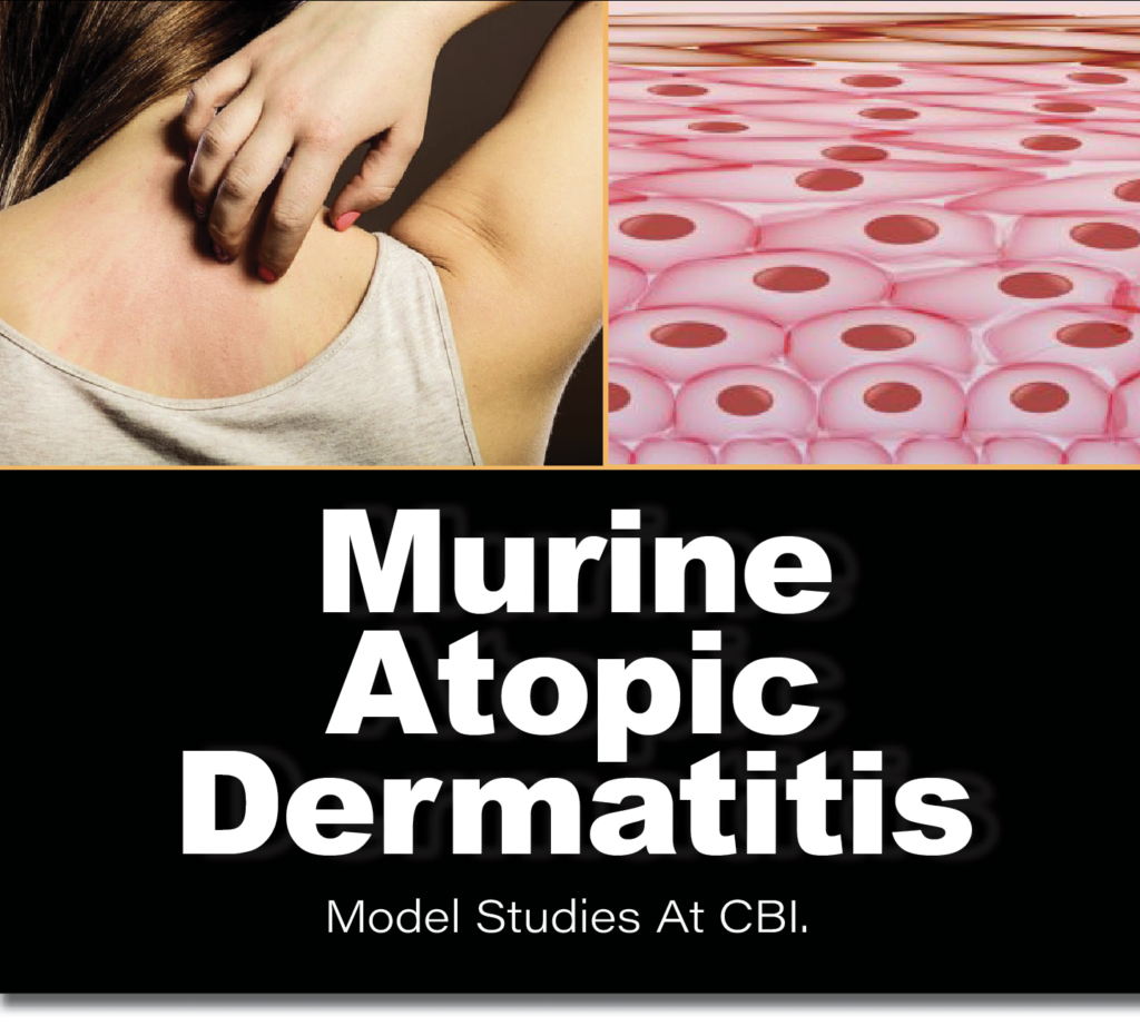 Murine Atopic Dermatitis Model | Comparative Biosciences, inc